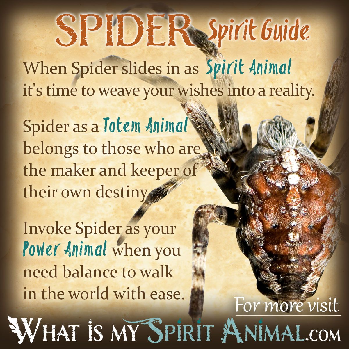 Psychic Medium Rebekah Lee Ives - Spider Symbolism and Their Meanings ...