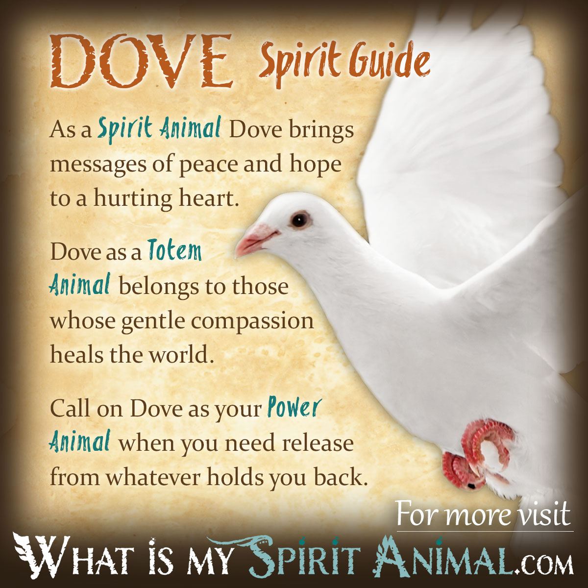 Psychic Medium Rebekah Lee Ives - The Meaning of a Dove Sighting