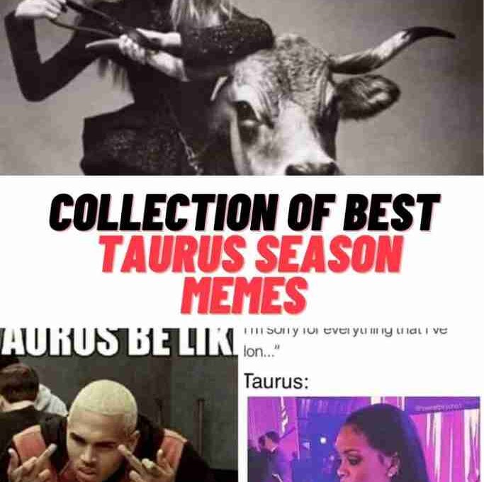 10 Ways To Have The Best Taurus Season – Rebekah Lee Ives