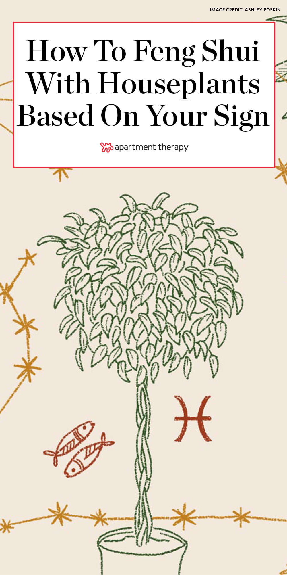 Psychic Medium Rebekah Lee Ives - Feng Shui: Cleaning And Organizing ...