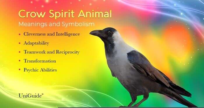 Psychic Medium Rebekah Lee Ives - Crow Spiritual Meaning – Symbolism ...