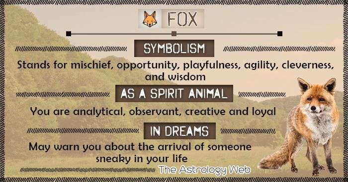 Psychic Medium Rebekah Lee Ives - Fox Spirit Animal Symbolism and Meaning