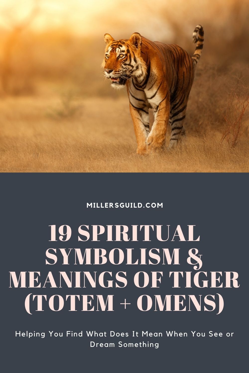 Psychic Medium Rebekah Lee Ives - Tiger Spirit Animal – Symbolism and ...