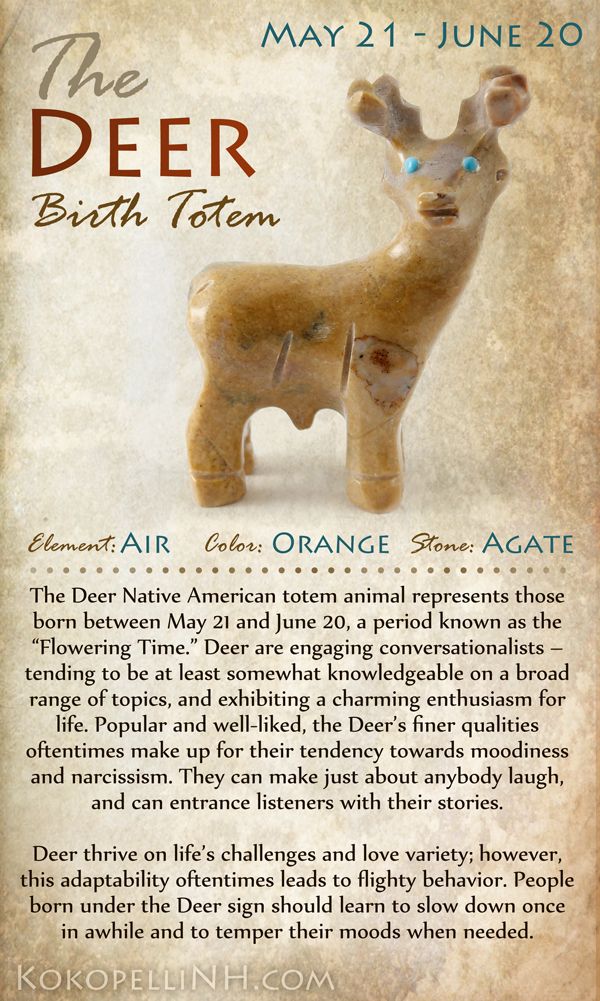 Psychic Medium Rebekah Lee Ives - June Spirit Animal