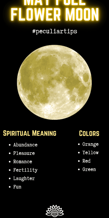 Psychic Medium Rebekah Lee Ives - What Is the Significance of the ...