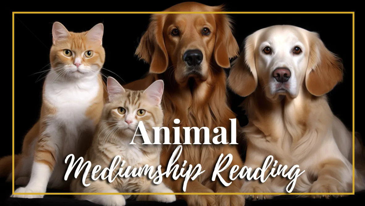 Psychic Medium Rebekah Lee Ives - ANIMAL MEDIUMSHIP READING